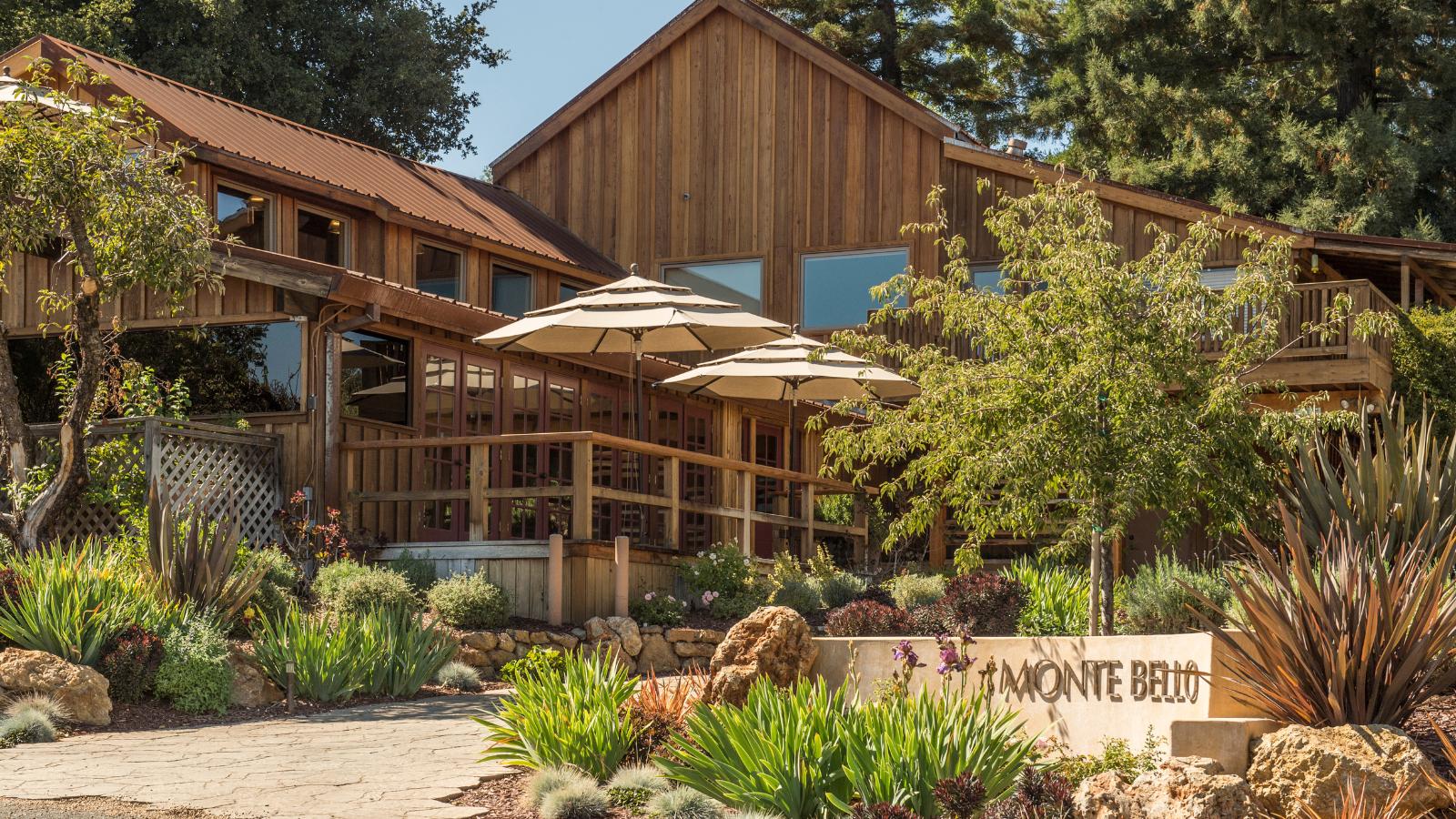 Zinfandel - bespottad druva som producerar lyxviner